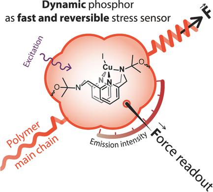 Dynamic Phosphorescent Probe for Facile and Reversible Stress Sensing ...