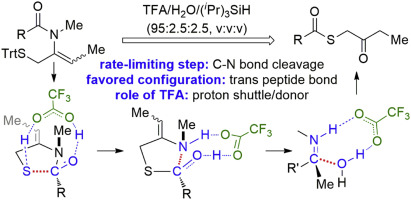 Mechanism of trifluoroacetic-acid-promoted N-to-S acyl transfer of ...