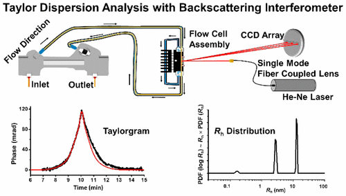 Taylor Dispersion Analysis of Polysaccharides Using Backscattering ...
