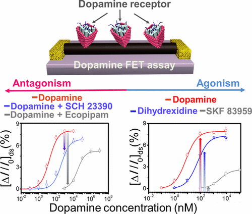 Dopamine Receptor D1 Agonism and Antagonism Using a Field-Effect ...