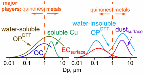 Ambient Size Distributions and Lung Deposition of Aerosol ...
