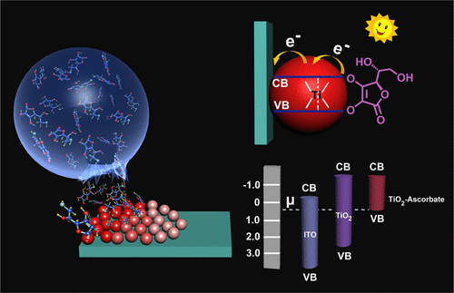 Enediol-Ligands-Encapsulated Liposomes Enables Sensitive Immunoassay: A ...