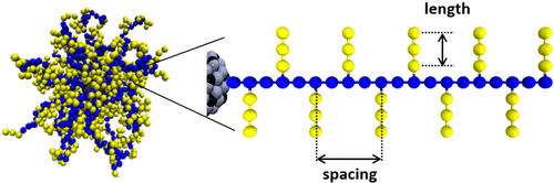 Effect Of Polymer Architecture On The Structure And Interactions Of Polymer Grafted Particles