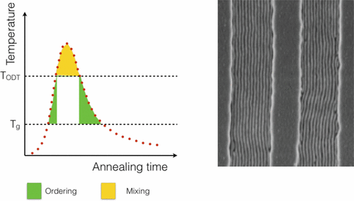 Ultrafast Self-Assembly of Sub-10 nm Block Copolymer Nanostructures by ...