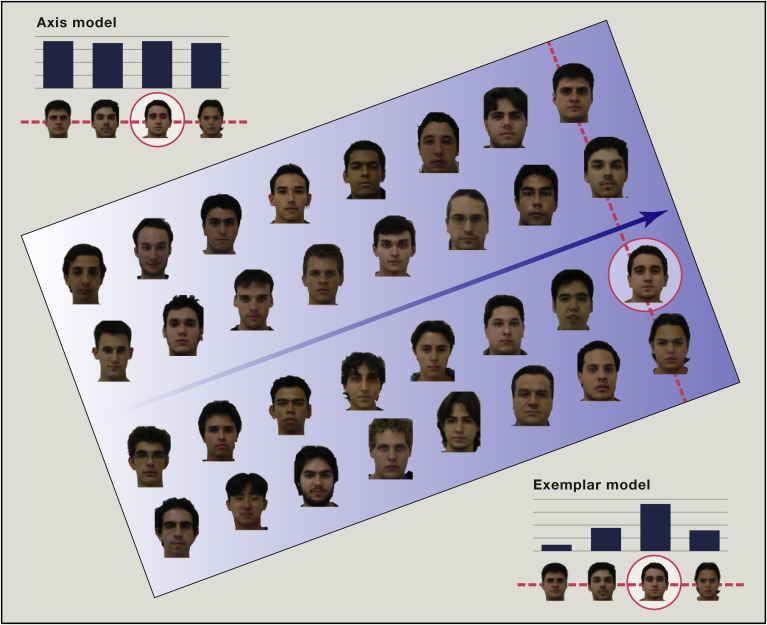 How Do We Recognize a Face?,Cell - X-MOL