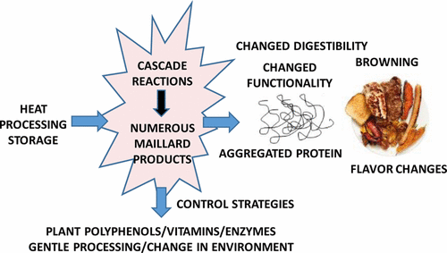 Control of Maillard Reactions in Foods: Strategies and Chemical ...
