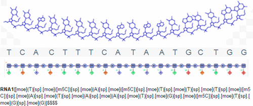 HELM Software for Biopolymers,Journal of Chemical Information and ...