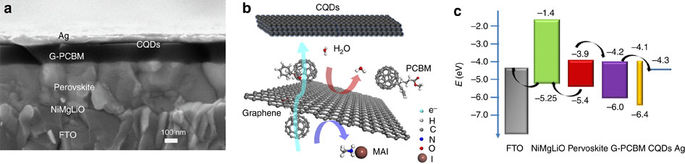 Diffusion engineering of ions and charge carriers for stable efficient ...