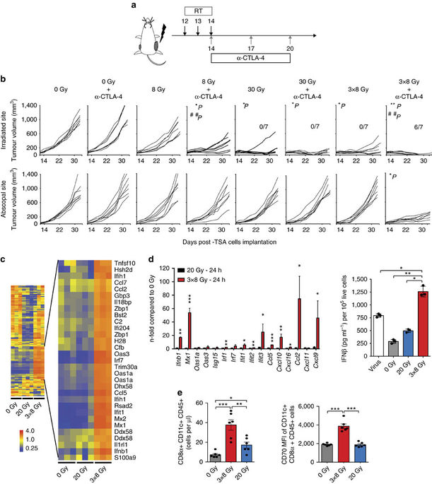 DNA exonuclease Trex1 regulates radiotherapy-induced tumour ...