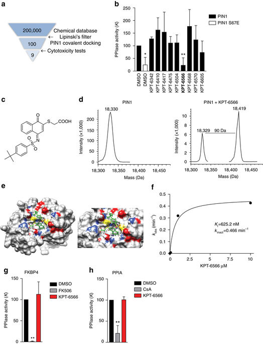 A covalent PIN1 inhibitor selectively targets cancer cells by a dual ...