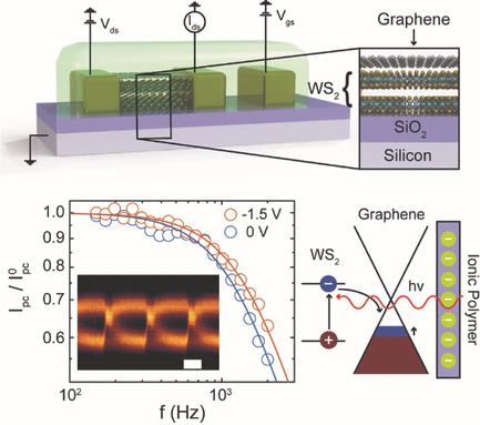 Fast and Highly Sensitive Ionic-Polymer-Gated WS2–Graphene ...