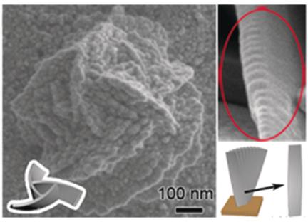 Silver Films with Hierarchical Chirality,Angewandte Chemie ...