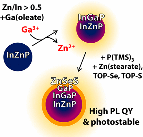 Ga for Zn Cation Exchange Allows for Highly Luminescent and Photostable ...
