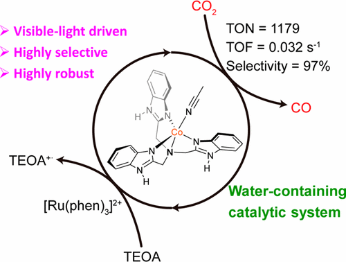 A Highly Selective and Robust Co(II)-Based Homogeneous Catalyst for ...