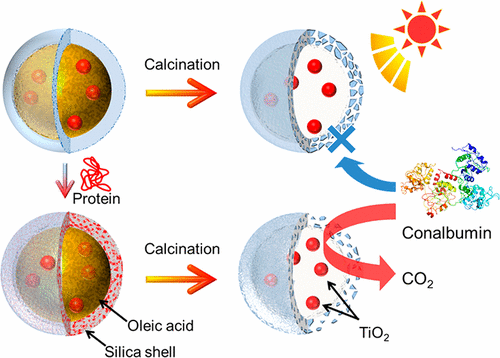 Controlling Photocatalytic Activity and Size Selectivity of TiO2 Encapsulated in Hollow Silica ...