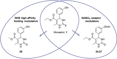 Monastrol, a 3,4-dihydropyrimidin-2(1H)-thione, as structural scaffold ...