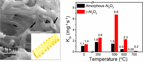 Unusual Hollow Al2O3 Nanofibers with Loofah-Like Skins: Intriguing ...