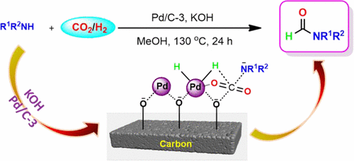 Hydroxyl Group-Regulated Active Nano-Pd/C Catalyst Generation via in ...