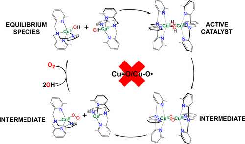 Electrocatalytic Water Oxidation by a Homogeneous Copper Catalyst ...