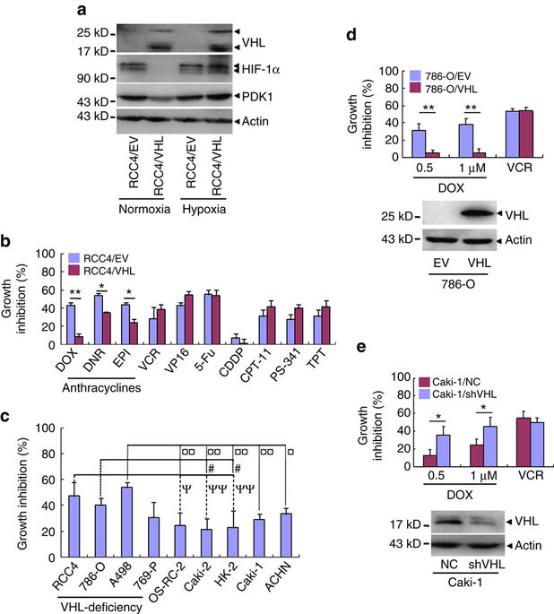 VHL缺乏可通过下调ALDH2来增强透明细胞肾细胞癌的蒽环类药物敏感性。,Nature Communications - X-MOL