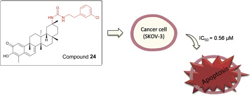 Novel celastrol derivatives with improved selectivity and enhanced ...