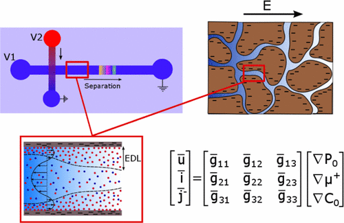 Multiscale Model for Electrokinetic Transport in Networks of Pores ...