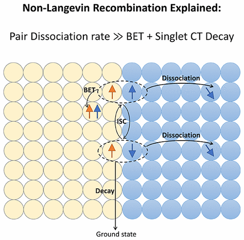 Interplay Between Triplet-, Singlet-Charge Transfer States and Free ...