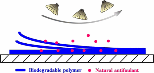 Environmentally Friendly Antifouling Coatings Based on Biodegradable ...