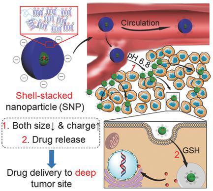 Sequentially Responsive Shell‐Stacked Nanoparticles for Deep ...