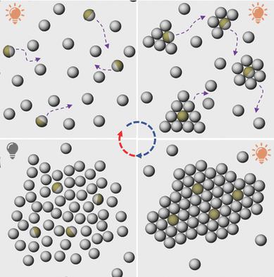 Non‐Equilibrium Assembly of Light‐Activated Colloidal Mixtures,Advanced Materials - X-MOL