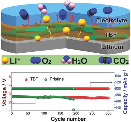 In Situ Construction of Stable Tissue-Directed/Reinforced Bifunctional ...