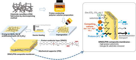 A sulfonated poly(arylene ether sulfone)/polyimide nanofiber composite ...