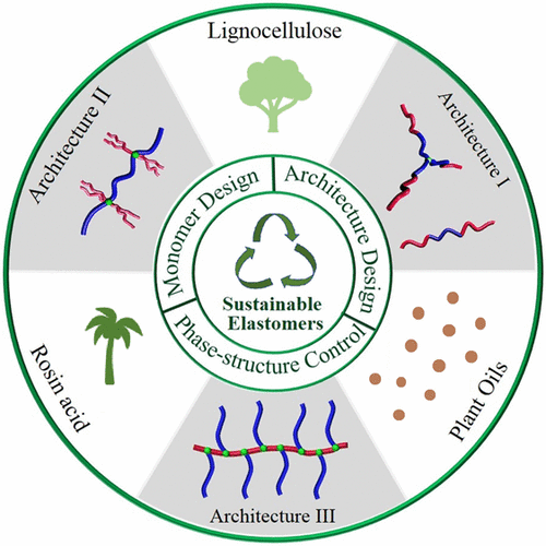 Sustainable Elastomers from Renewable Biomass,Accounts of Chemical ...