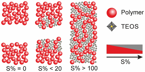 Macro- and Nanoscopic Studies of Porous Polymer Swelling,Macromolecules ...