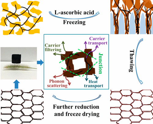 Carbon Nanoparticle Hybrid Aerogels: 3D Double-Interconnected Network Porous Microstructure ...