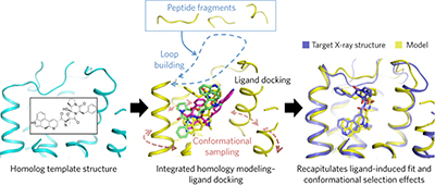 Computational design of ligand-binding membrane receptors with high ...