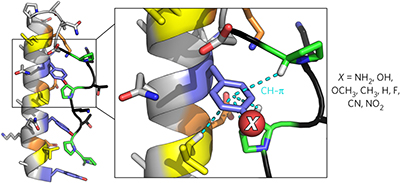 Engineering protein stability with atomic precision in a monomeric ...