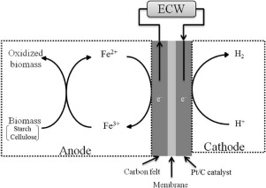 Hydrogen Evolution from Native Biomass with Fe3+/Fe2+ Redox Couple ...