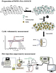 A preparation of homogeneous distribution of palladium nanoparticle on ...