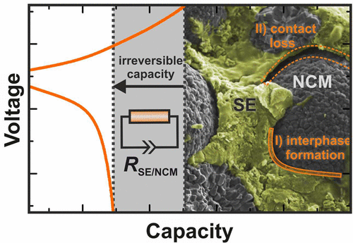 Capacity Fade in Solid-State Batteries: Interphase Formation and Chemomechanical Processes in ...
