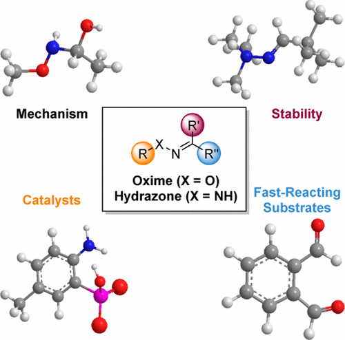 Oximes and Hydrazones in Bioconjugation: Mechanism and Catalysis,Chemical Reviews - X-MOL