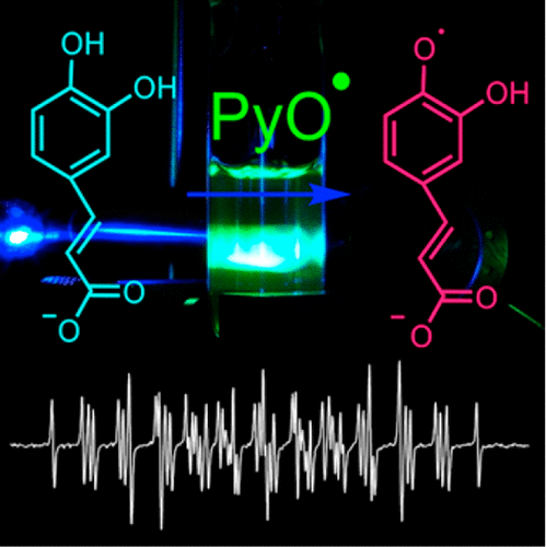 Reaction Kinetics of Phenolic Antioxidants toward Photoinduced Pyranine ...