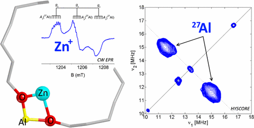 Electronic and Geometrical Structure of Zn+ Ions Stabilized in the ...