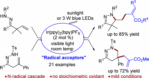 Photocatalytic Hydrazonyl Radical-Mediated Radical Cyclization ...
