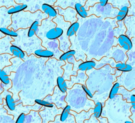 Novel Biocompatible Thermoresponsive Poly(N-vinyl Caprolactam)/Clay ...