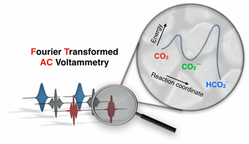 Direct Detection of Electron Transfer Reactions Underpinning the Tin ...