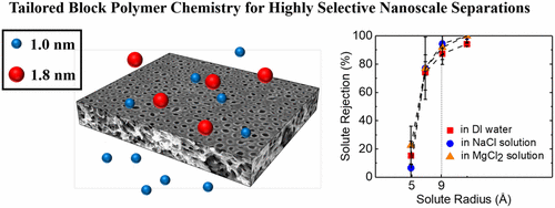 Block Polymer Membranes Functionalized with Nanoconfined ...