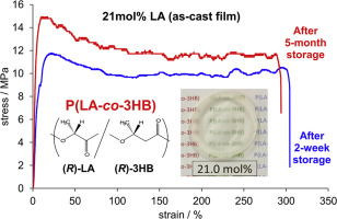 Effect of monomeric composition on the thermal, mechanical and ...
