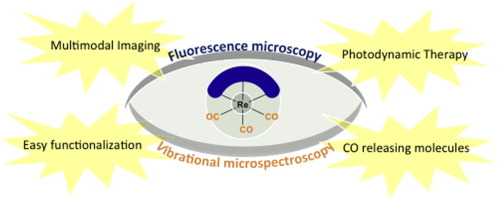 Re（I）羰基配合物：无机化学生物学的多峰平台,Coordination Chemistry Reviews - X-MOL