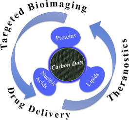 Carbon Dots: Biomacromolecule Interaction, Bioimaging and Nanomedicine ...